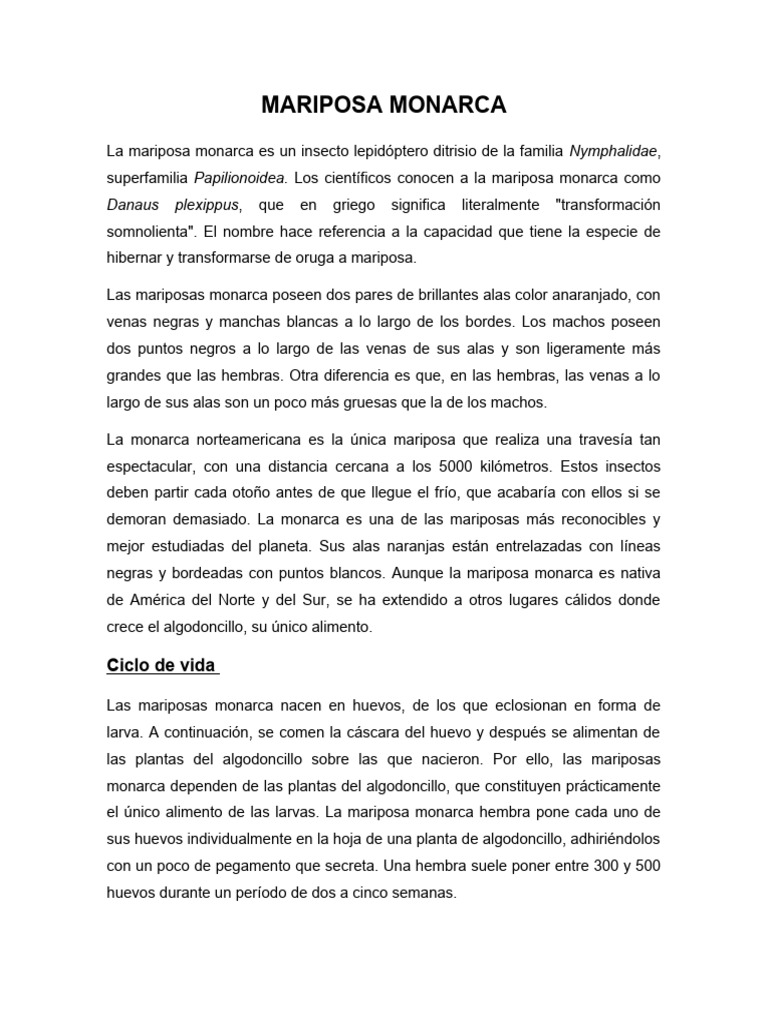 Mariposa Monarca | PDF | Lepidópteros | Mariposa