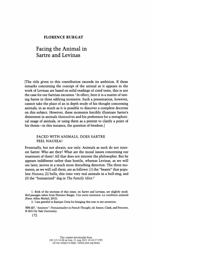 Burgat Facing | PDF | Young Adult