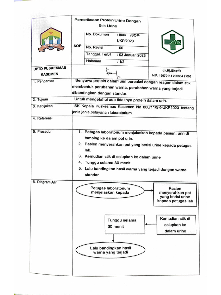 Ilp Sop Pemeriksaan Urine | PDF