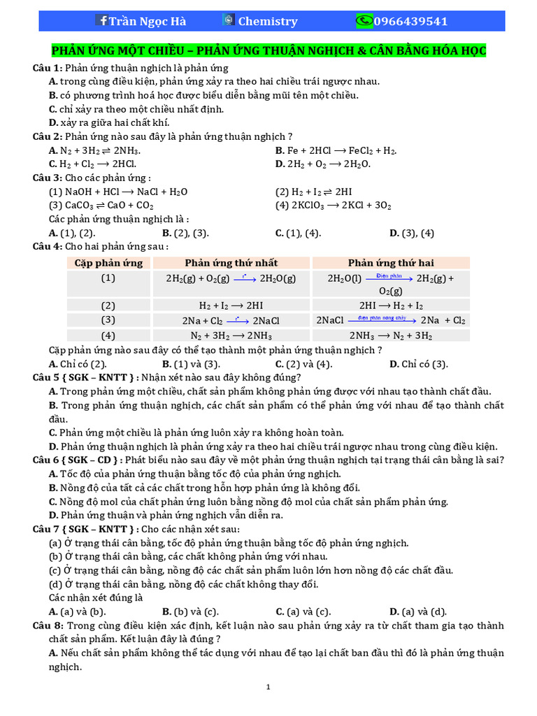 PHẢN ỨNG MỘT CHIỀU - PHẢN ỨNG THUẬN NGHỊCH CBHH đề | PDF
