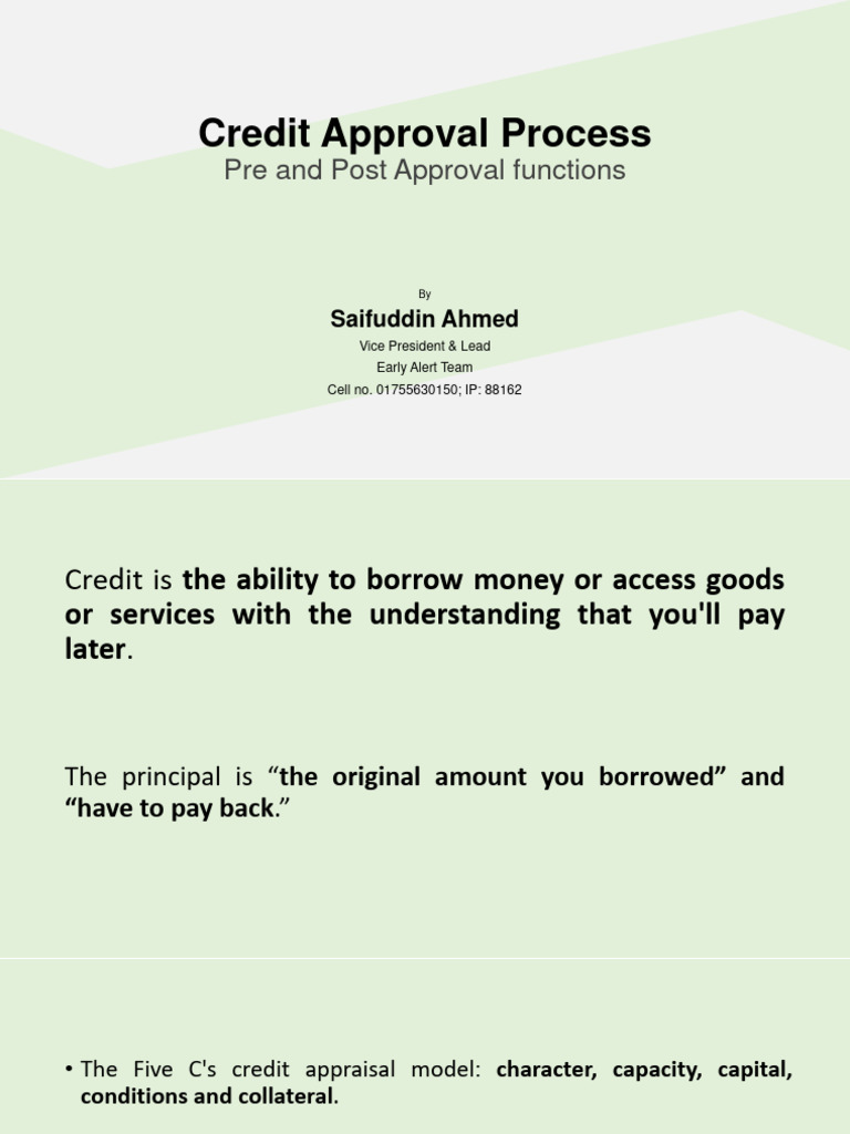 Credit Approval Process and Related Functions | Download Free PDF ...