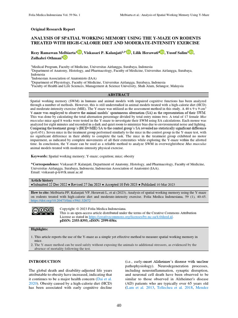 Analysis of Spatial Working Memory Using The Y-Maze On Rodents | PDF ...