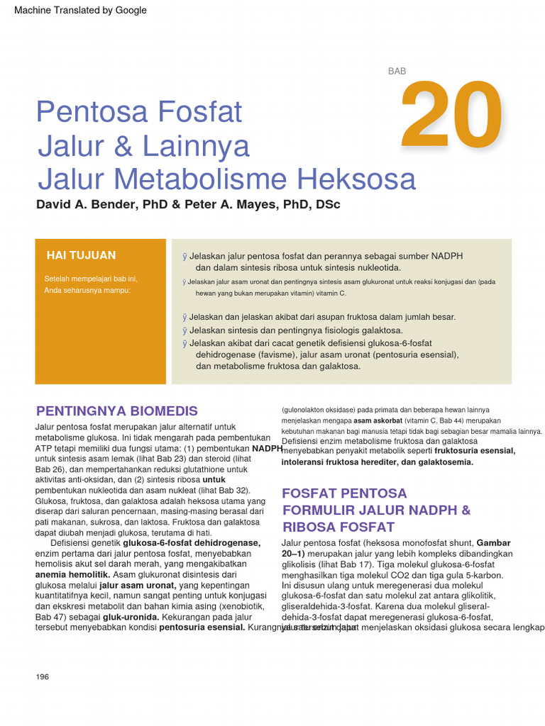 Harper's Illustrated Biochemistry 30th-200-269 | PDF