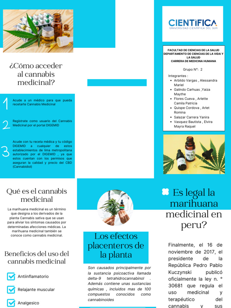 Triptico Cannabis | Descargar gratis PDF | Cannabis (Droga) | Cannabis ...