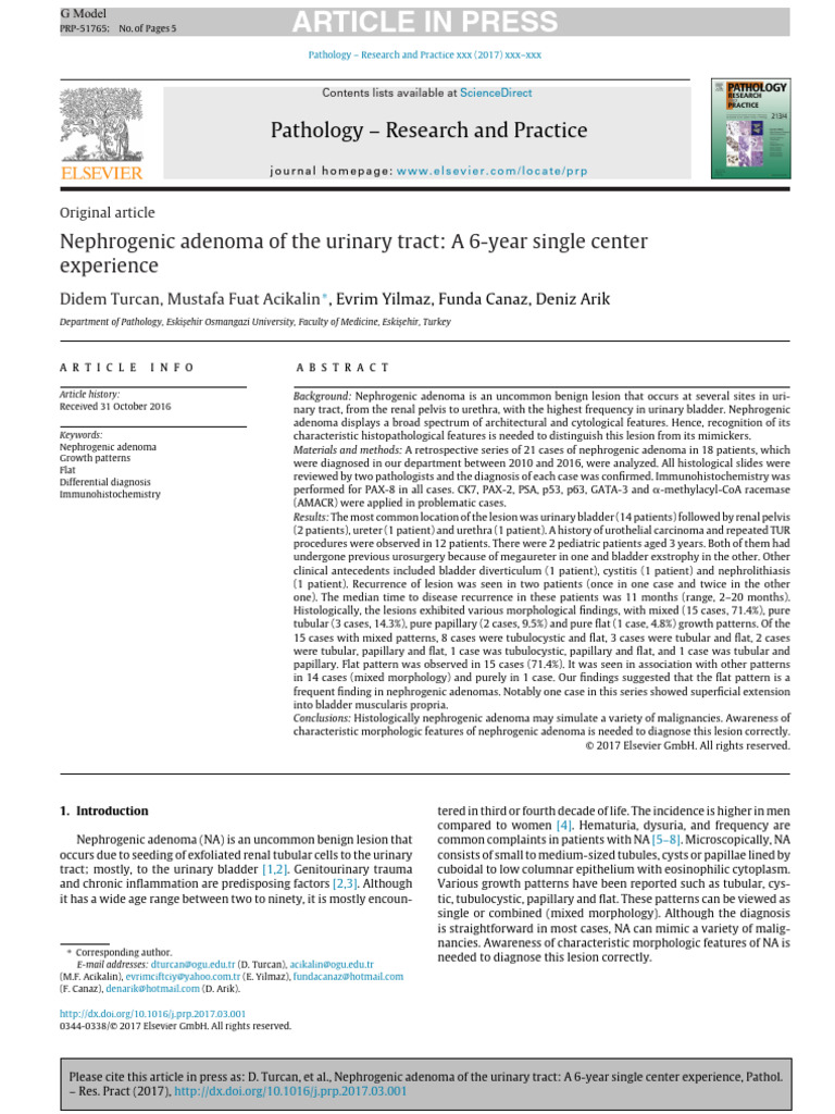 Nephrogenic Adenoma of The Urinary Tract - A 6-Year Single Center Experience | Download Free PDF ...