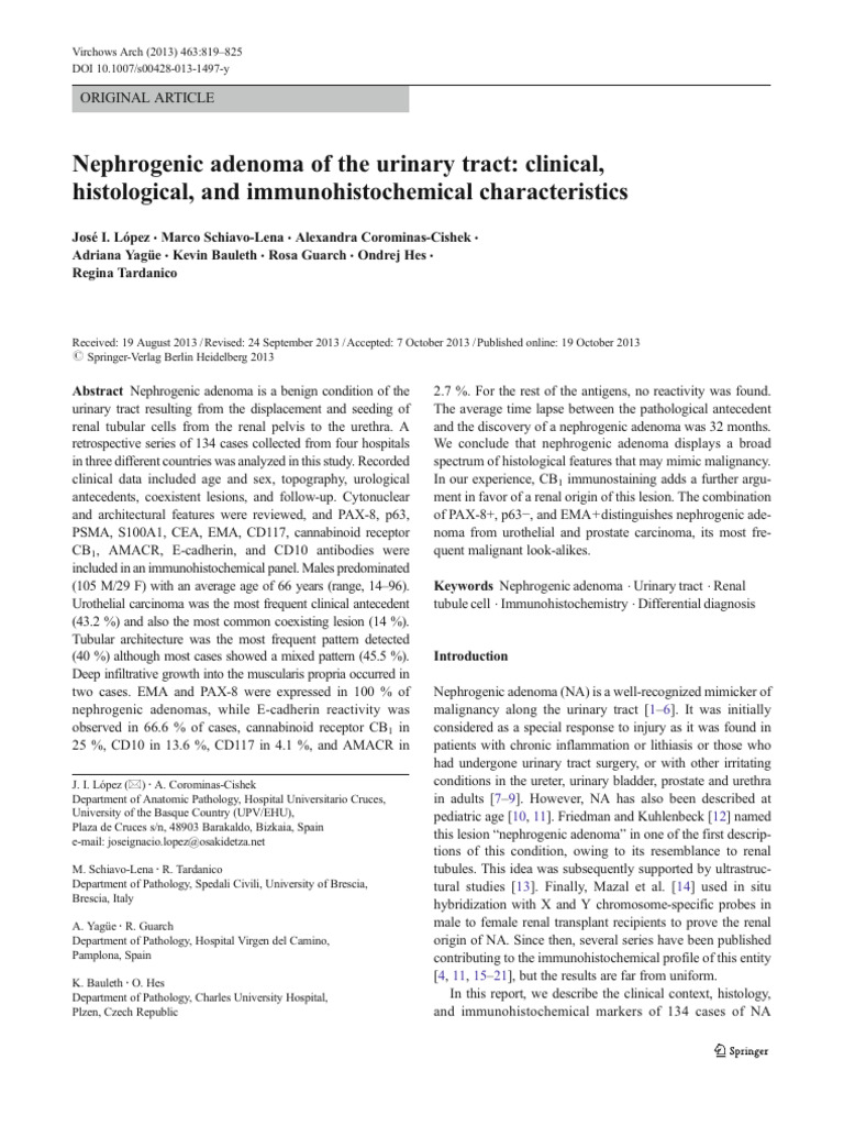 Nephrogenic Adenoma of The Urinary Tract - Clinical, Histological, and ...