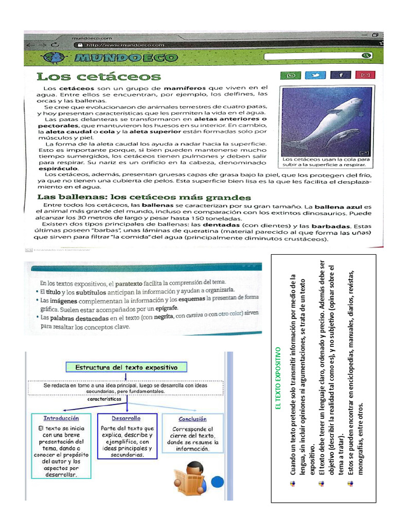 Plantillas de Lengua Ud 4 | PDF | Vocal | Sílaba