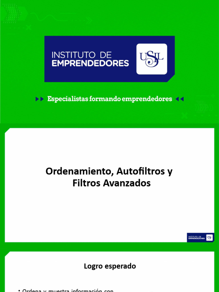 Guía de Orden y Filtros en Excel | PDF | Microsoft Excel | Informática