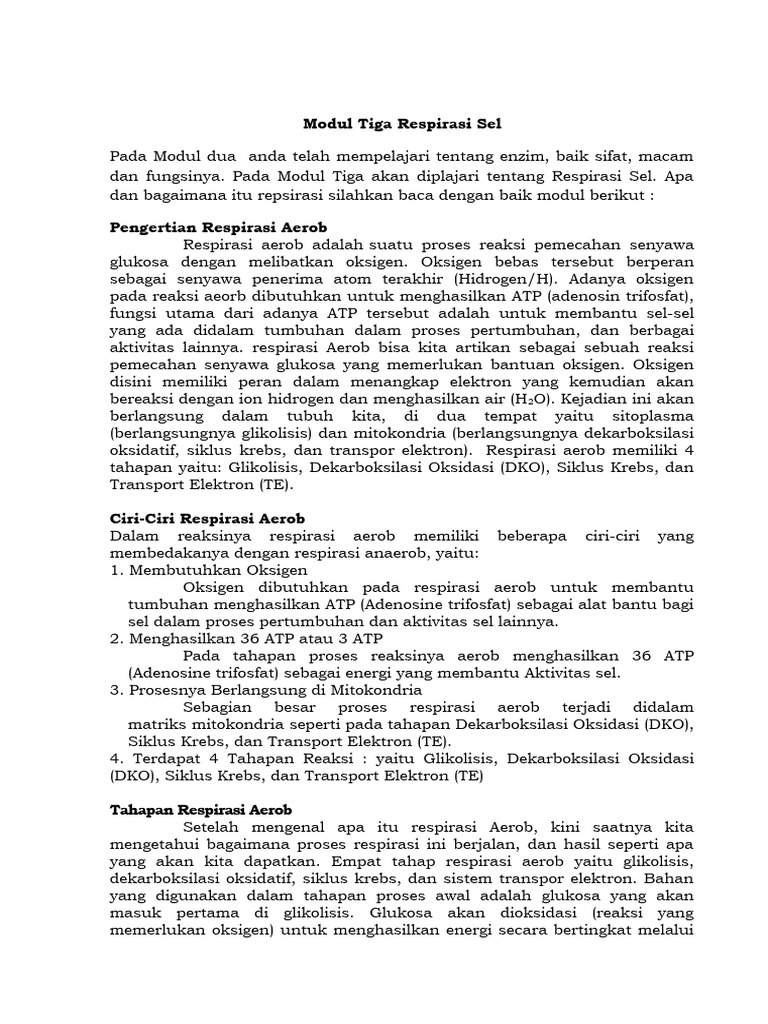 Proses Respirasi Sel: Aerob dan ATP | PDF