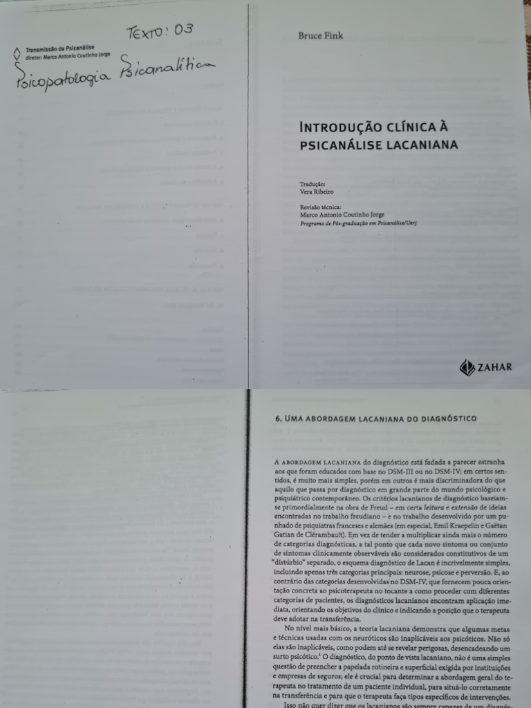 Uma Abordagem Lacaniana Do Diagnóstico - Bruce Fink | PDF