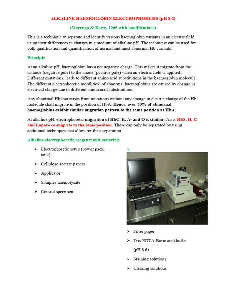 Alkaline Electrophoresis | PDF | Buffer Solution | Chemistry