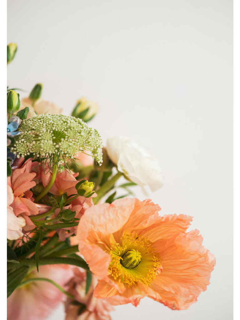 Holly Booth QXrAJ997lyI Unsplash | PDF
