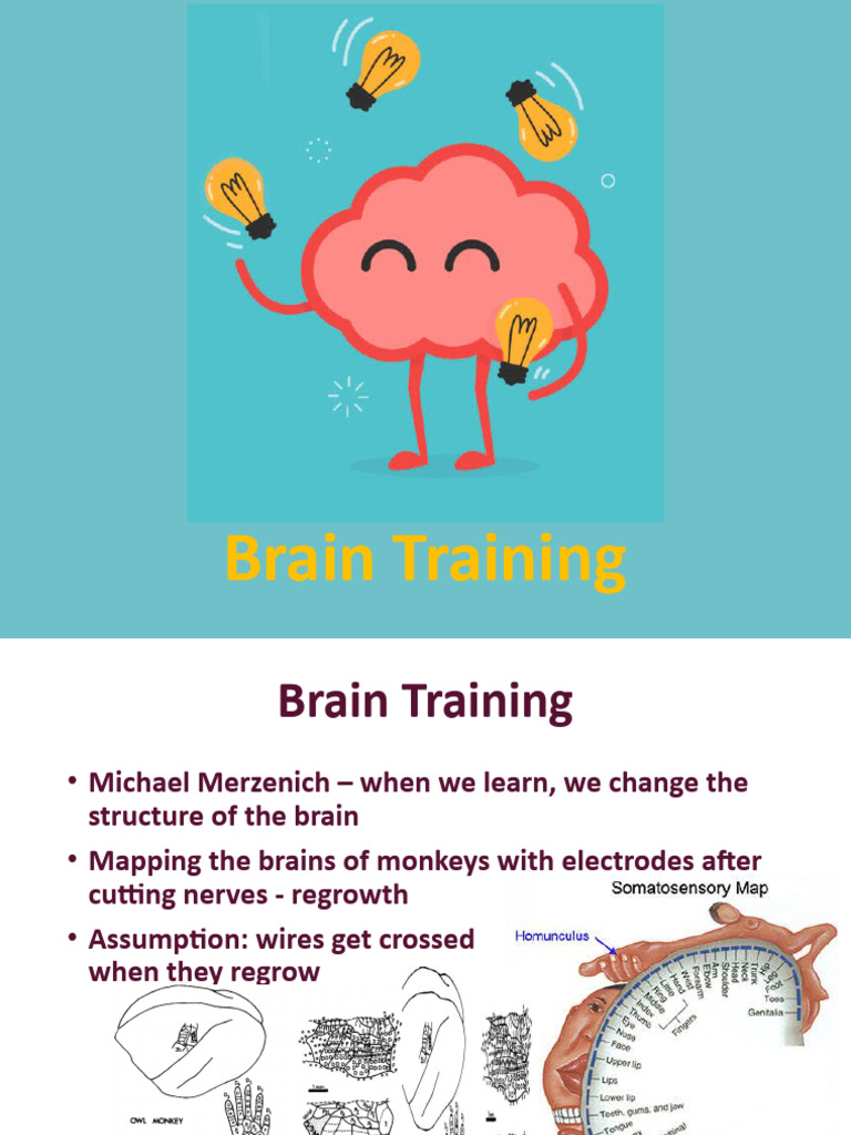 Brain Training (2) | PDF | Hippocampus | Brain