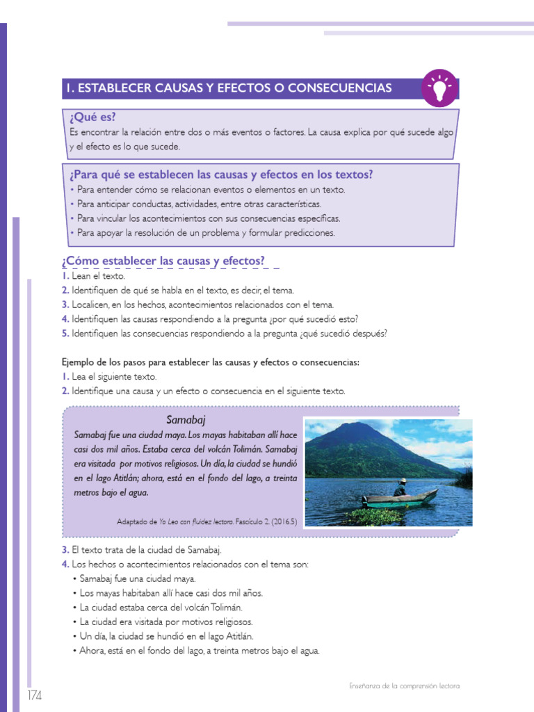 Causas y Efectos en Comprensión Lectora | PDF | Comunicación humana ...