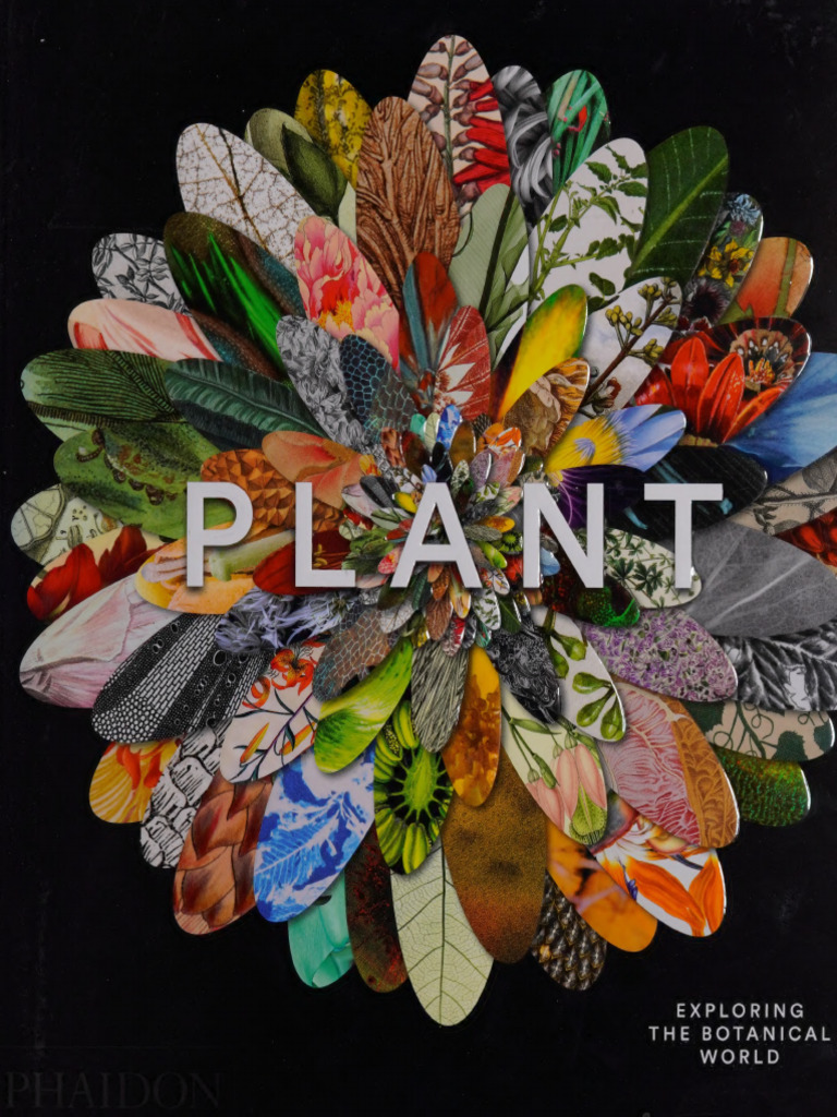 Plant Exploring The Botanical World (Phaidon Editors) | PDF | Botany ...
