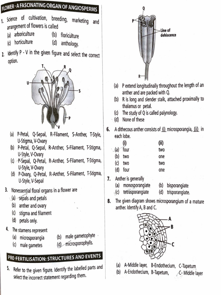 Sexual Reproduction in Flowering Plants Full Extra Mcqs | Download Free ...