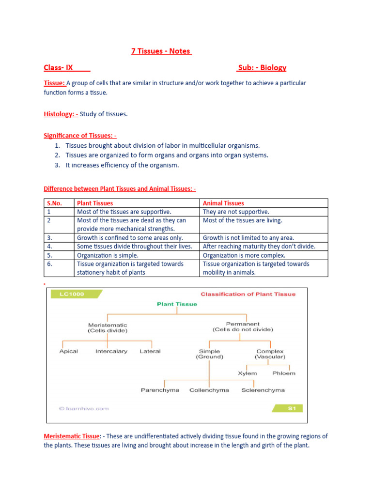 Tissues Notes | Download Free PDF | Tissue (Biology) | Epithelium