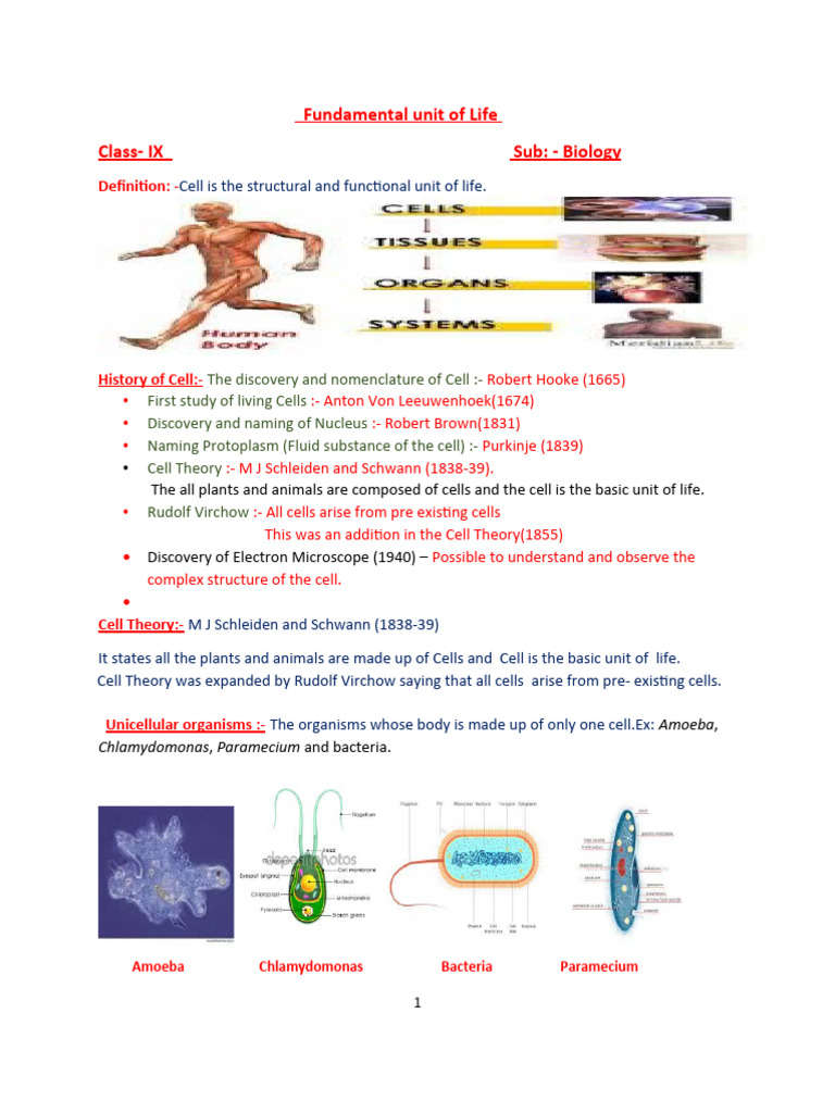 Understanding Cell Structure and Function | PDF | Osmosis | Chloroplast