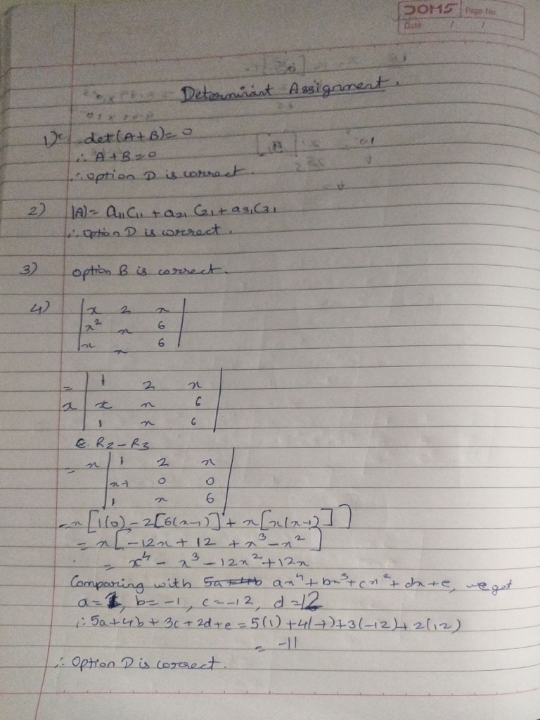 Determinant Assignment | PDF
