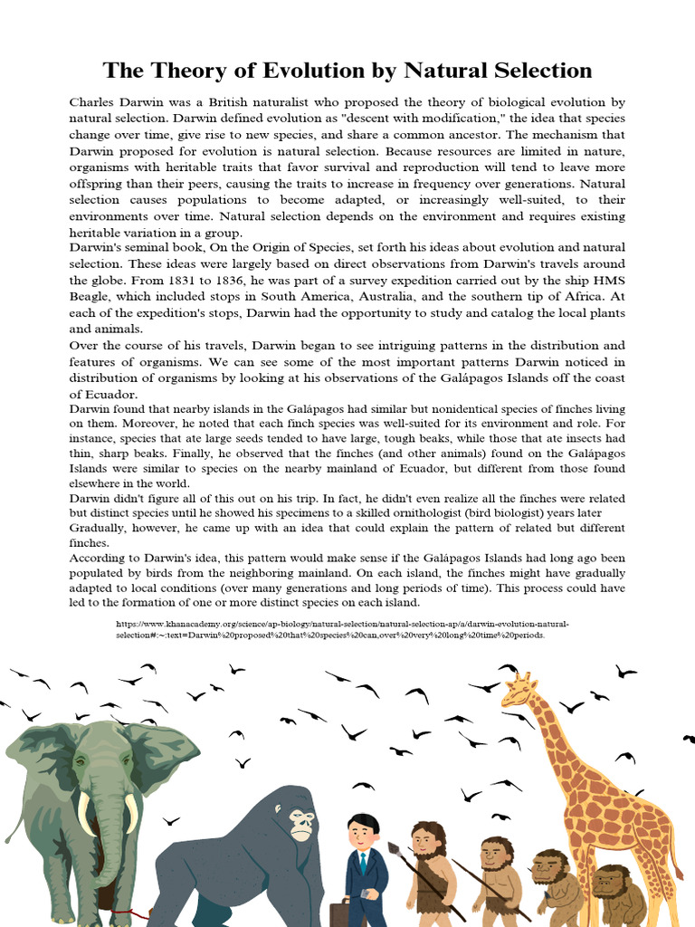 Evolution | PDF | Natural Selection | Evolution