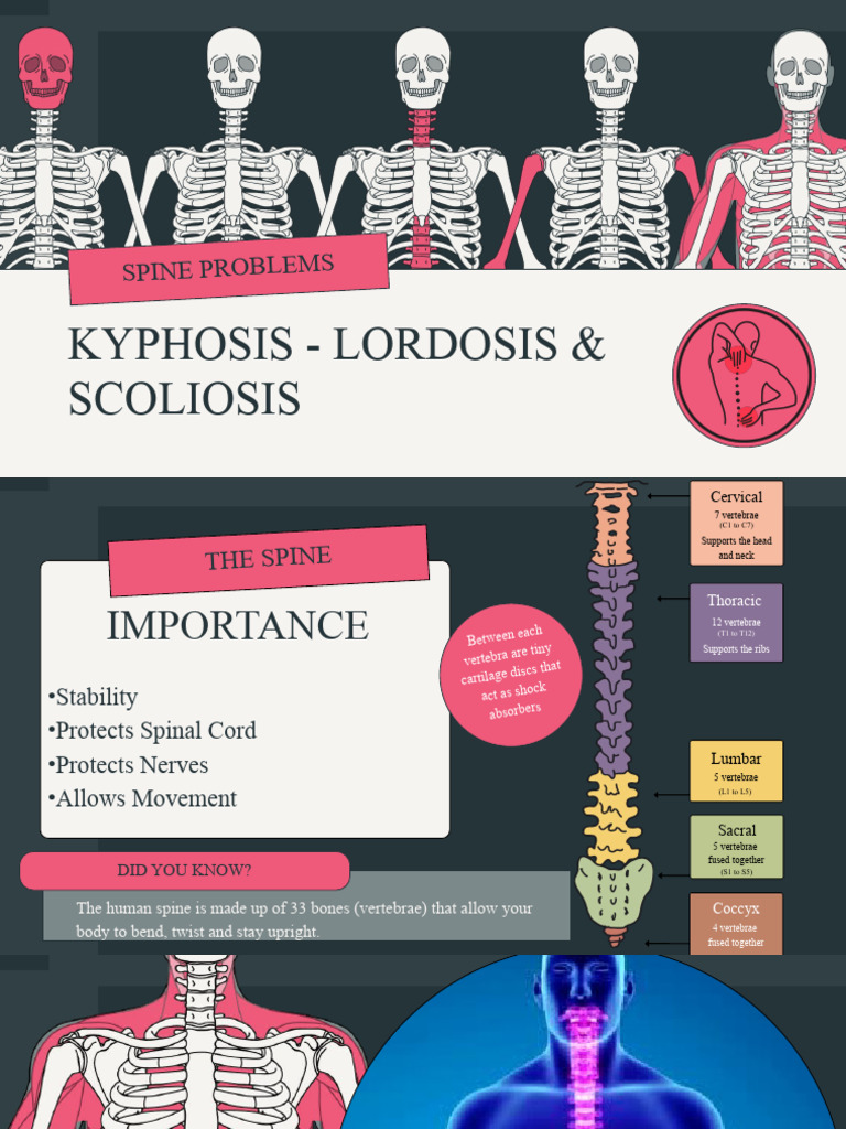 The Human Skeletal System Science Educational Presentation in Dark Gray ...