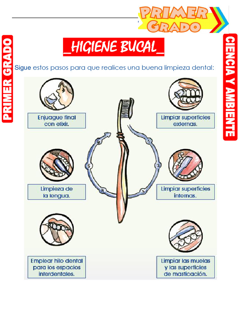Higiene Bucal: Pasos y Actividades para Niños | PDF | Higiene oral | Diente