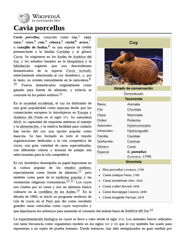 Cavia - Porcellus Cuycito | PDF | Conejillo de indias