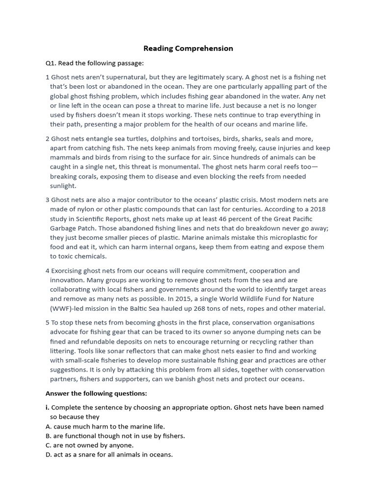 Reading Comprehension Practice | PDF