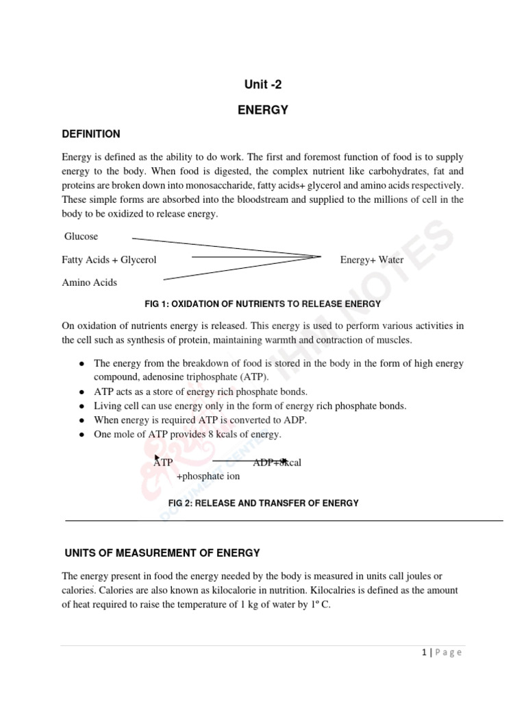 UNIT-2-ENERGY | PDF | Obesity | Body Mass Index