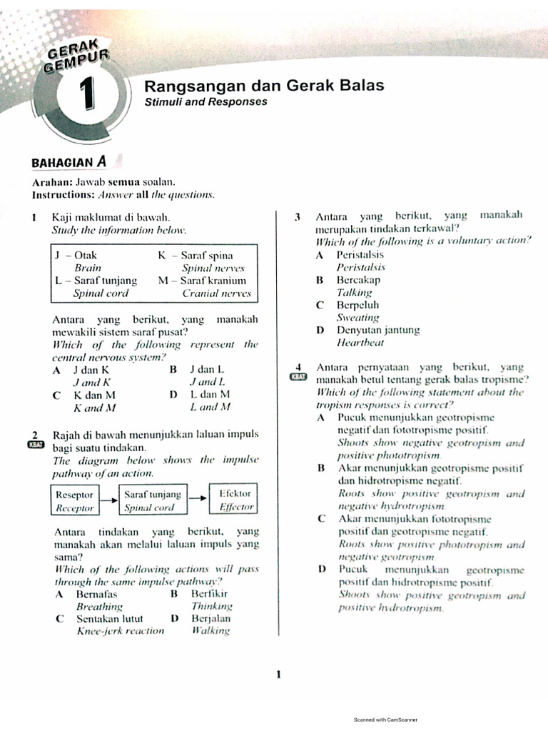 SC F3 Quiz - Jan 2022 | PDF