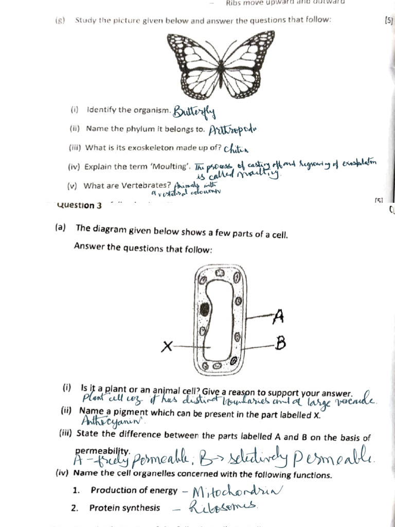 Bio Ans Key | PDF | Seed | Flowers