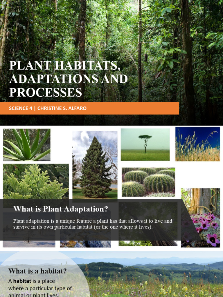 Plant Adaptations Across Habitats | PDF | Plants | Habitat