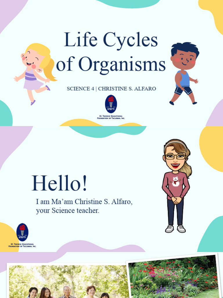 Stages in The Life Cycle of Organisms | PDF | Seed | Natural Environment