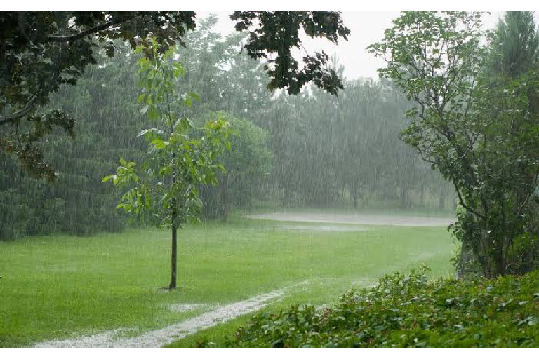 Sns Rain Photos SHBSB Photo 2 | PDF