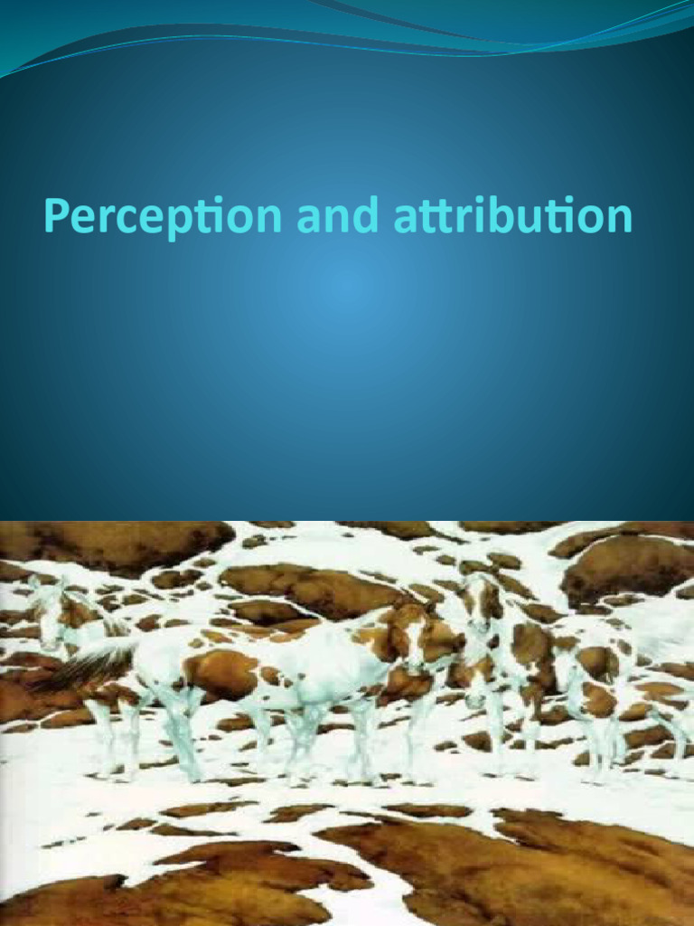 Perception and Attribution | PDF | Perception | Behavior
