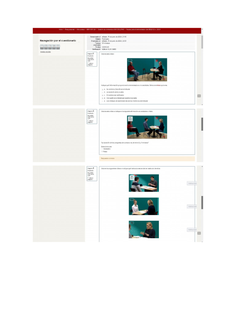 Pautas para el entrevistador del DELE C2 v. 2024 | PDF
