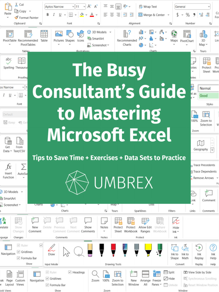 The Busy Consultant's Guide To Mastering Microso | PDF | Microsoft Excel | Spreadsheet