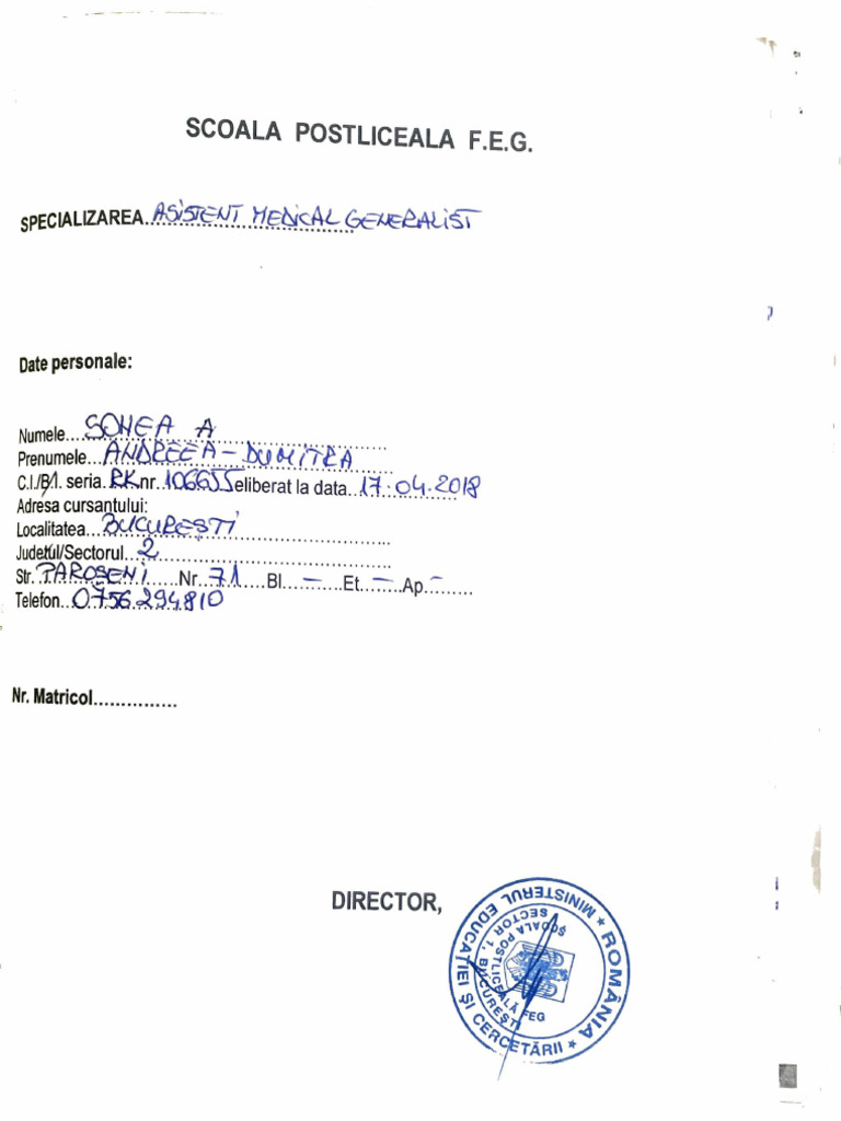 Model Caiet Practica | PDF