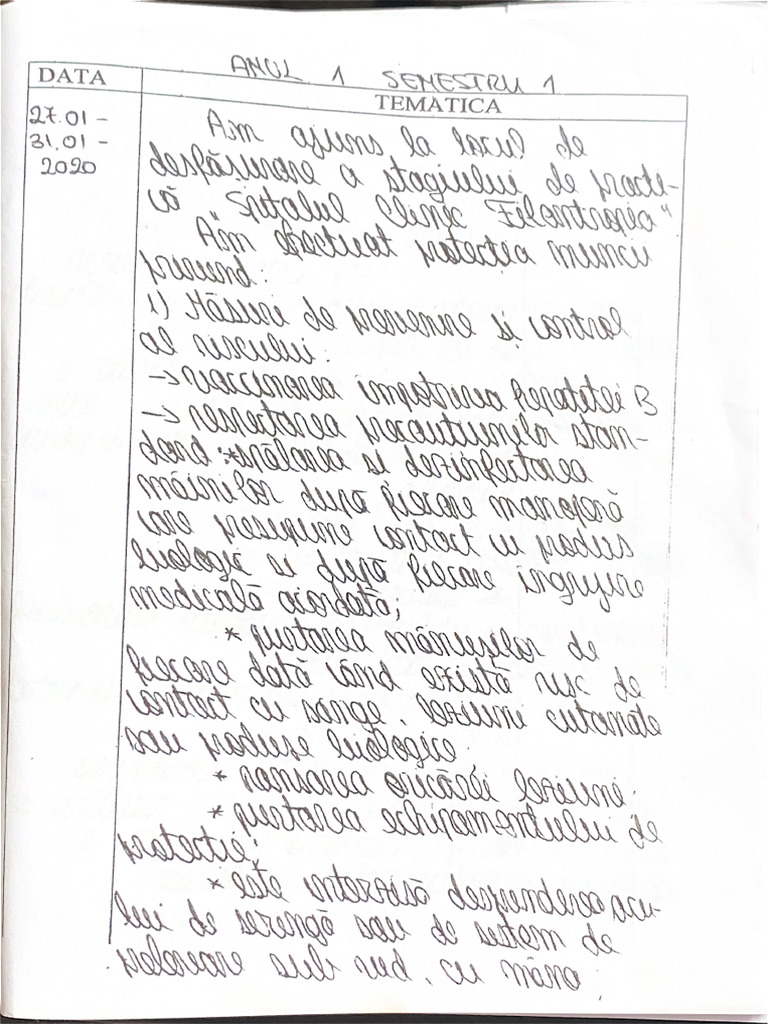 Caiet Practica | PDF