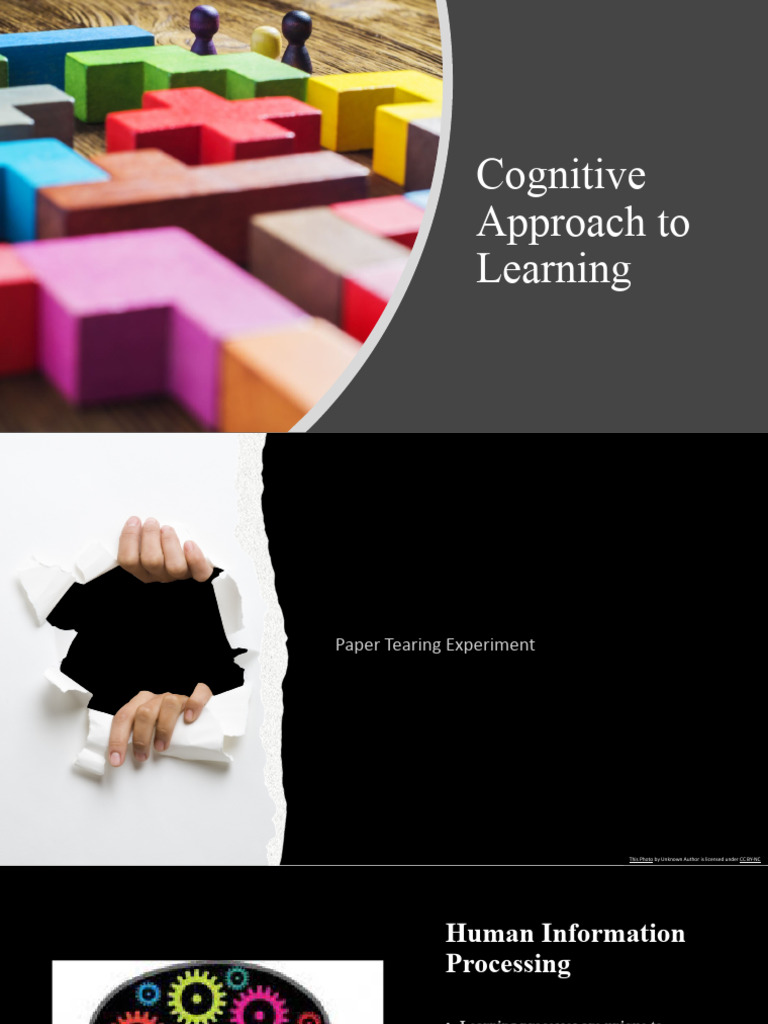Cognitive Approach | PDF | Memory | Information
