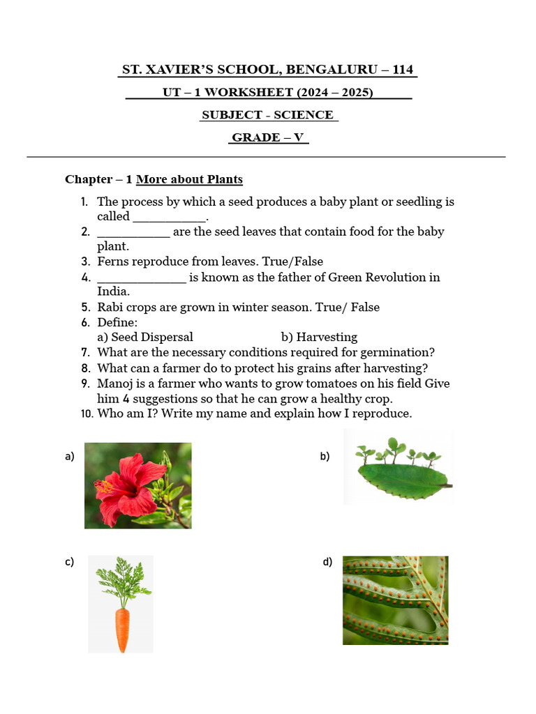 1718591727-Grade 5 Ut - 1 Science Worksheet | PDF