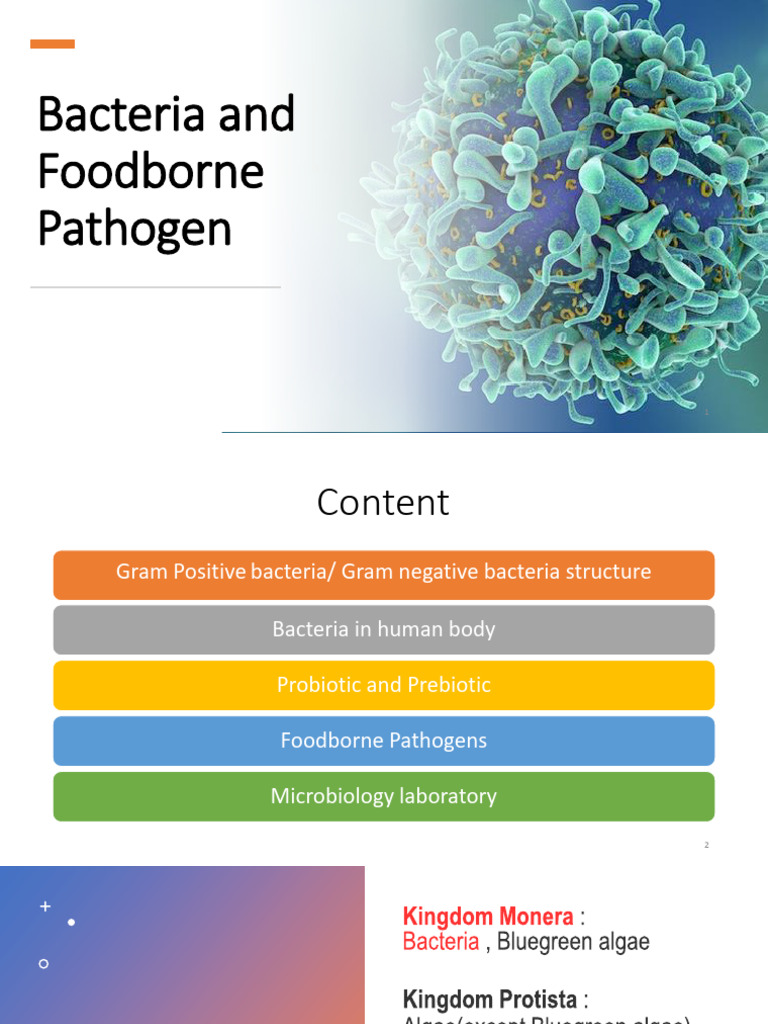 Bacteria and Foodborne Pathogens | PDF | Pathogen | Bacteria