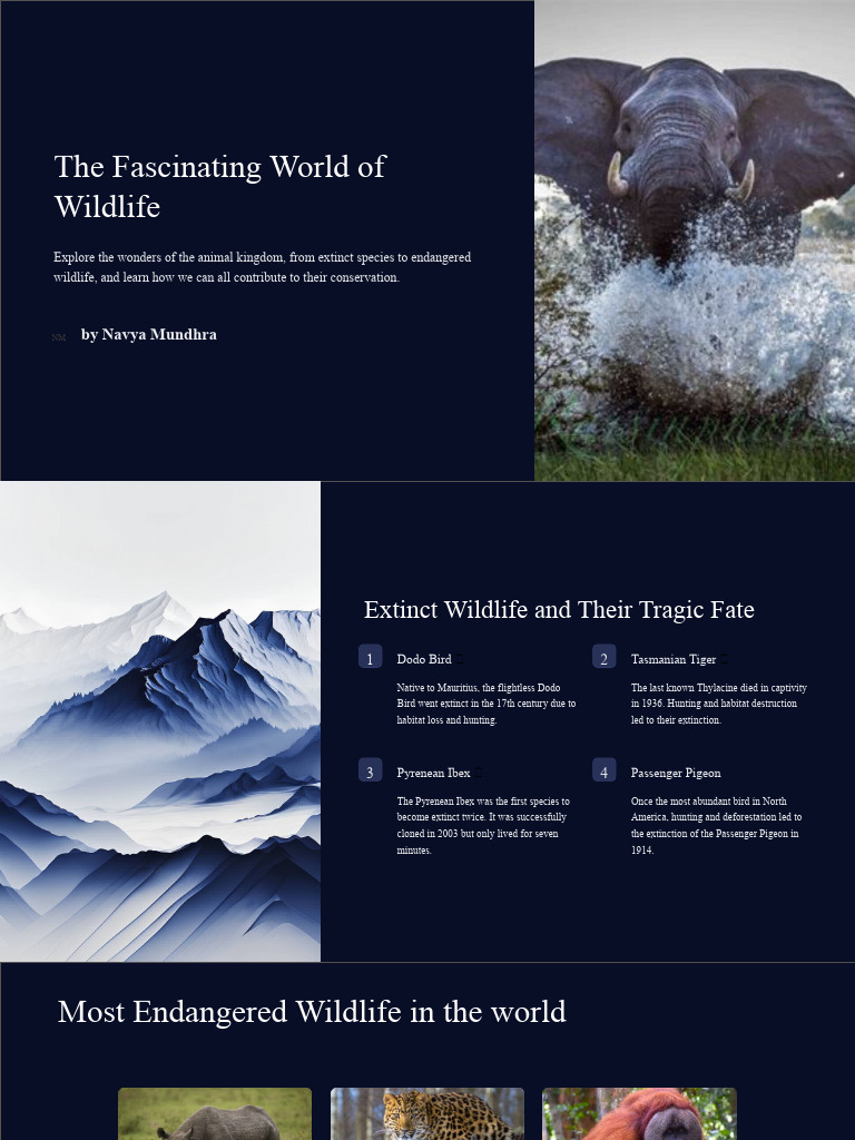 Wildlife | PDF | Endangered Species | Extinction