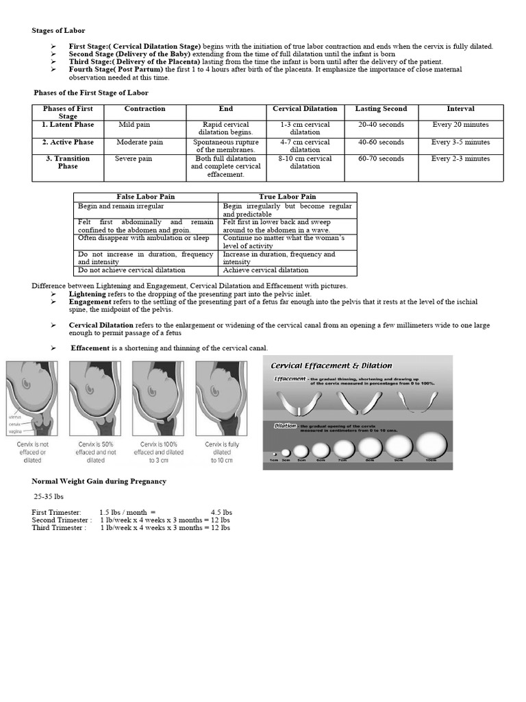 Stages of Labor Outline | PDF | Childbirth | Pregnancy