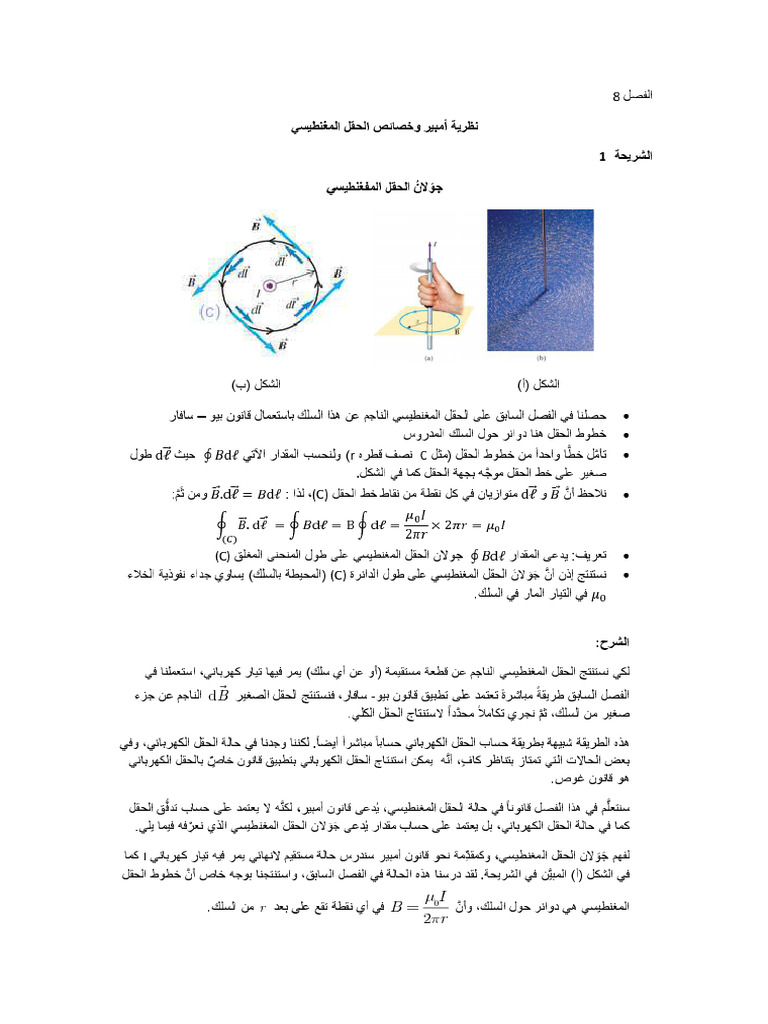 Ite BPH401 Physics Chapter08 With Exo | PDF