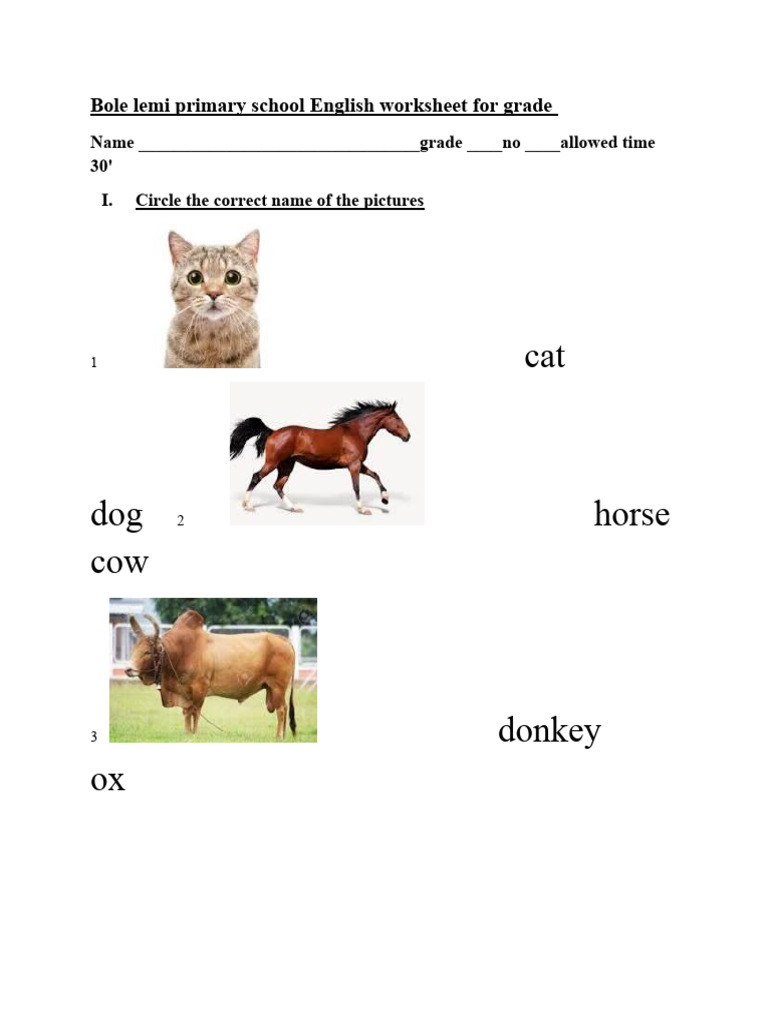 Bole Lemi Primary School English Worksheet for Grade 1 | PDF