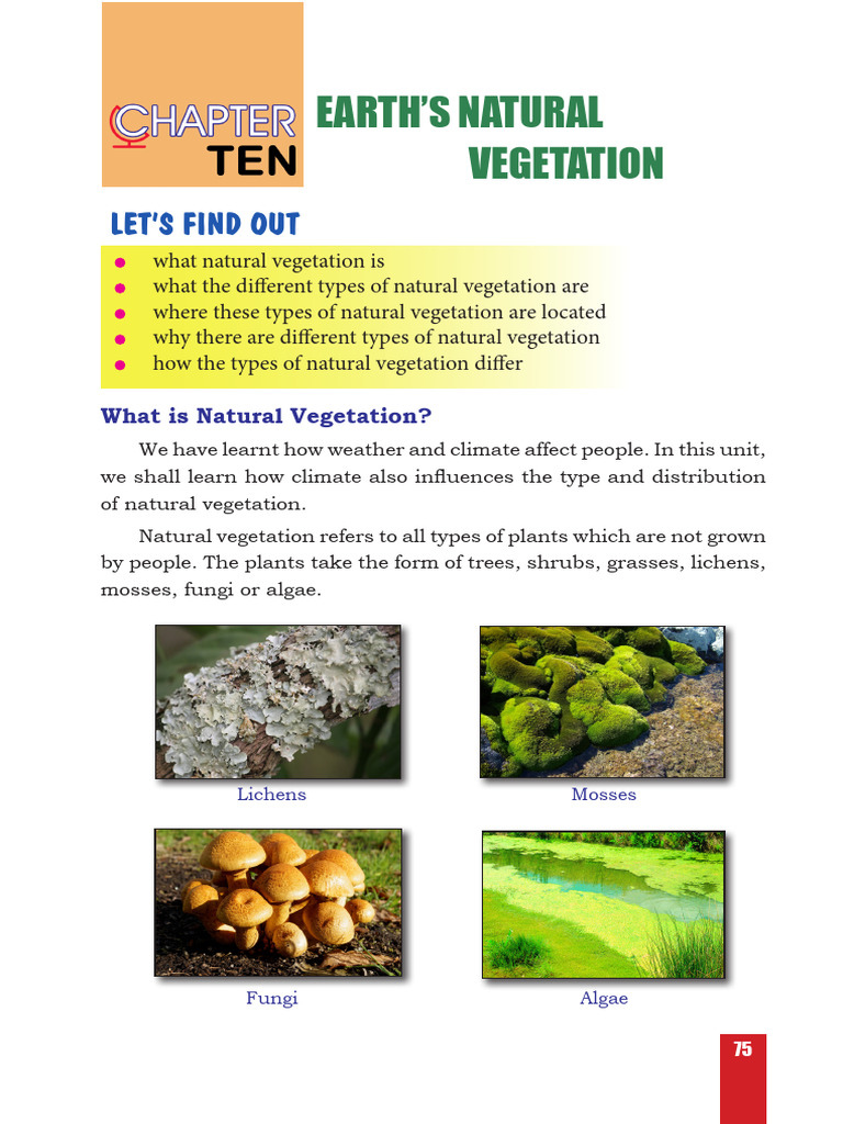 Types of Natural Vegetation Explained | PDF | Forests | Grassland