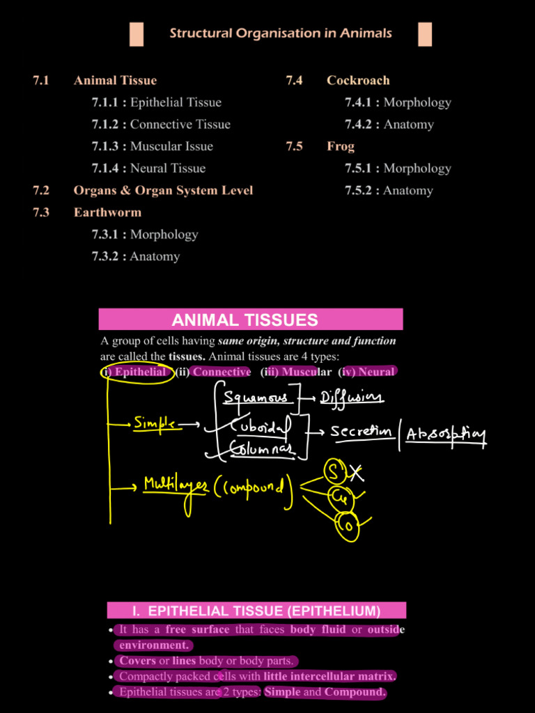 Structural Organisation Part 1 | PDF