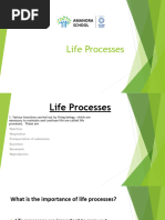 Class 10 - Life Processes | PDF | Nutrition | Diet & Nutrition