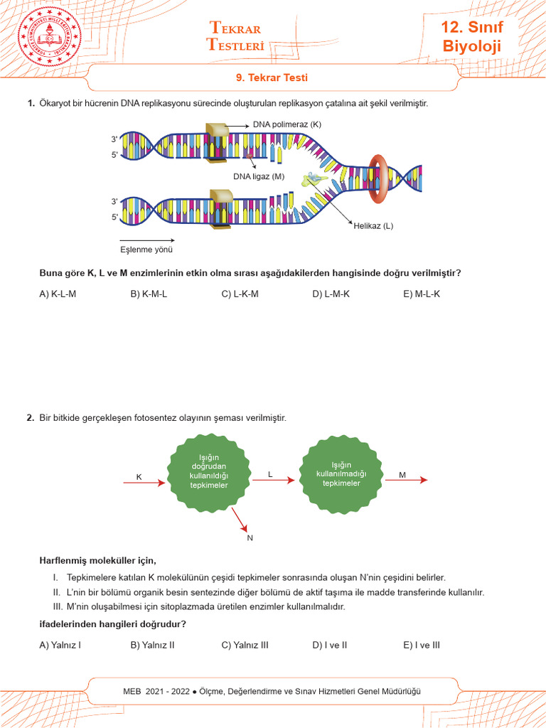 12 Biyo 9 | PDF